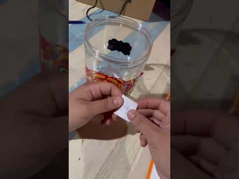 RIFA EN APOYO PARA ANTÜ 🐱
