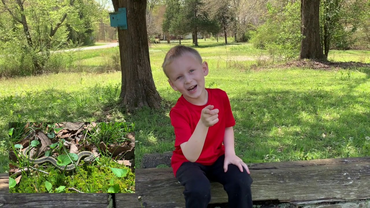 Keep Earth Beautiful - YouTube