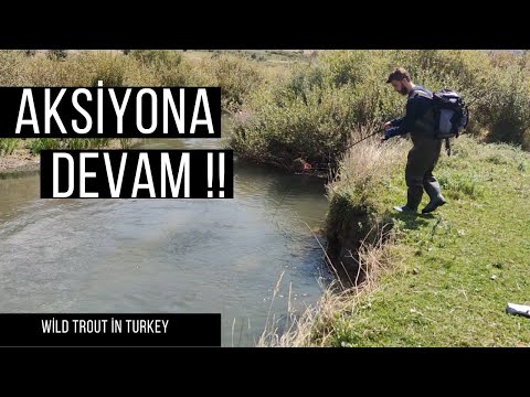 BÜYÜK KIRMIZI BENEKLİ ALABALIK AVI (AKSİYONA DEVAM)-BALIK AVI 2021 - Wild Trout Fishing İn The Creek