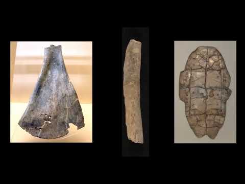 Kehanet Kemiği, Shang Hanedanı (Sanat ve Sosyal Bilimler) (Sanat Tarihi )