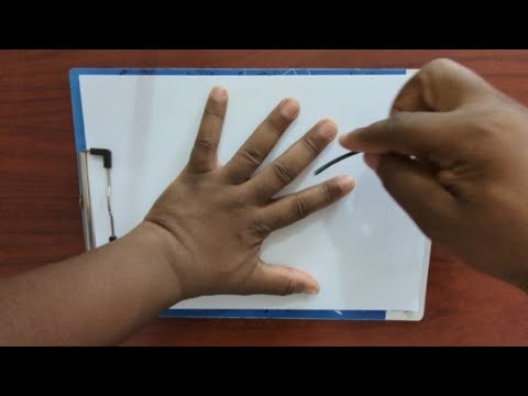 Proof The Middle Finger Is Longer Than The Pinky Finger - YouTube
