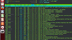 The Linux Basics Course: Beginner to Sysadmin, Step by Step - YouTube