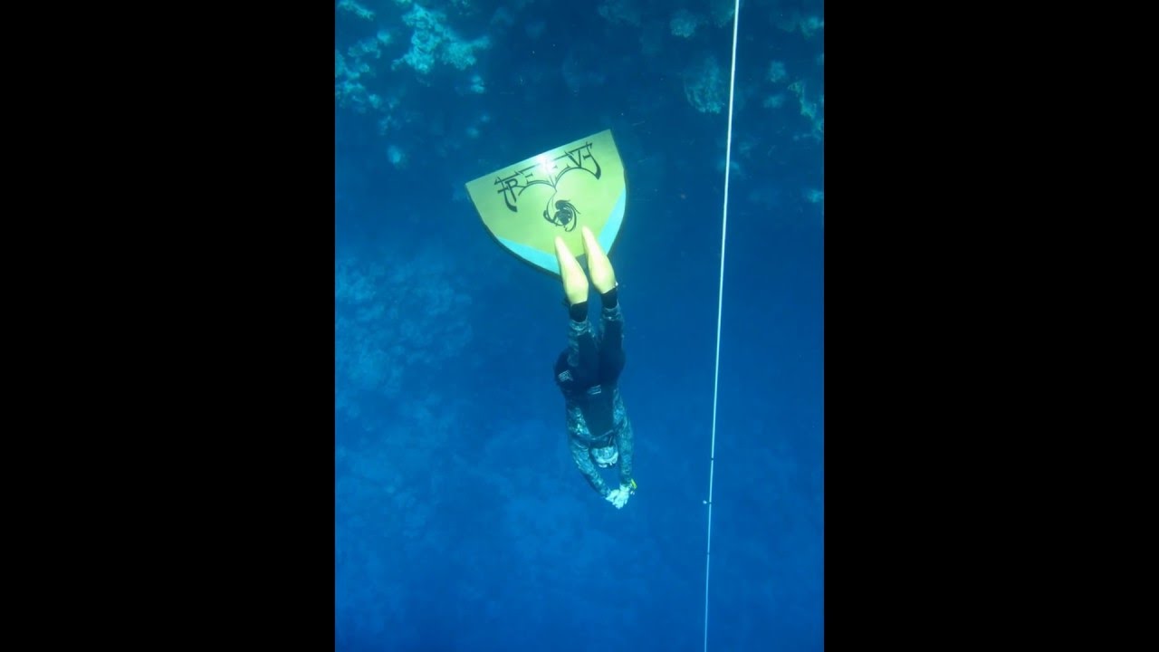 free diving courses indonesia, free diving dry training - YouTube