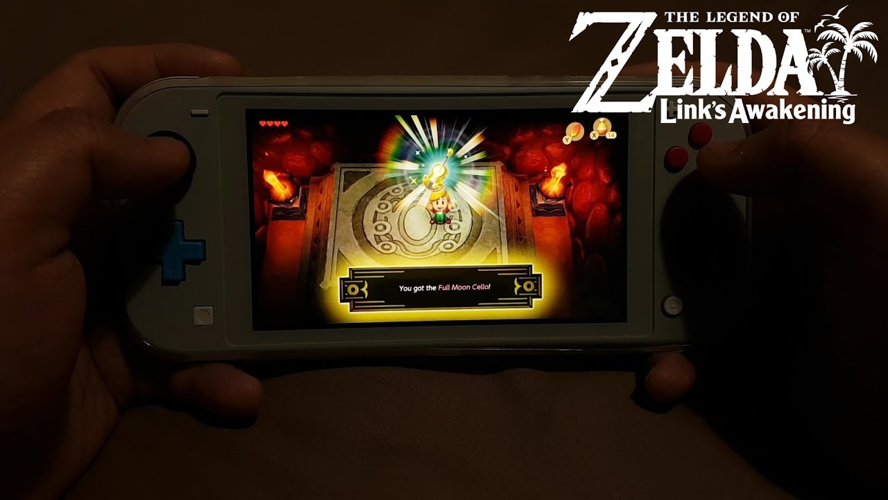 The Legend Of Zelda Links Awakening on Nintendo Switch Lite Part 2 ...