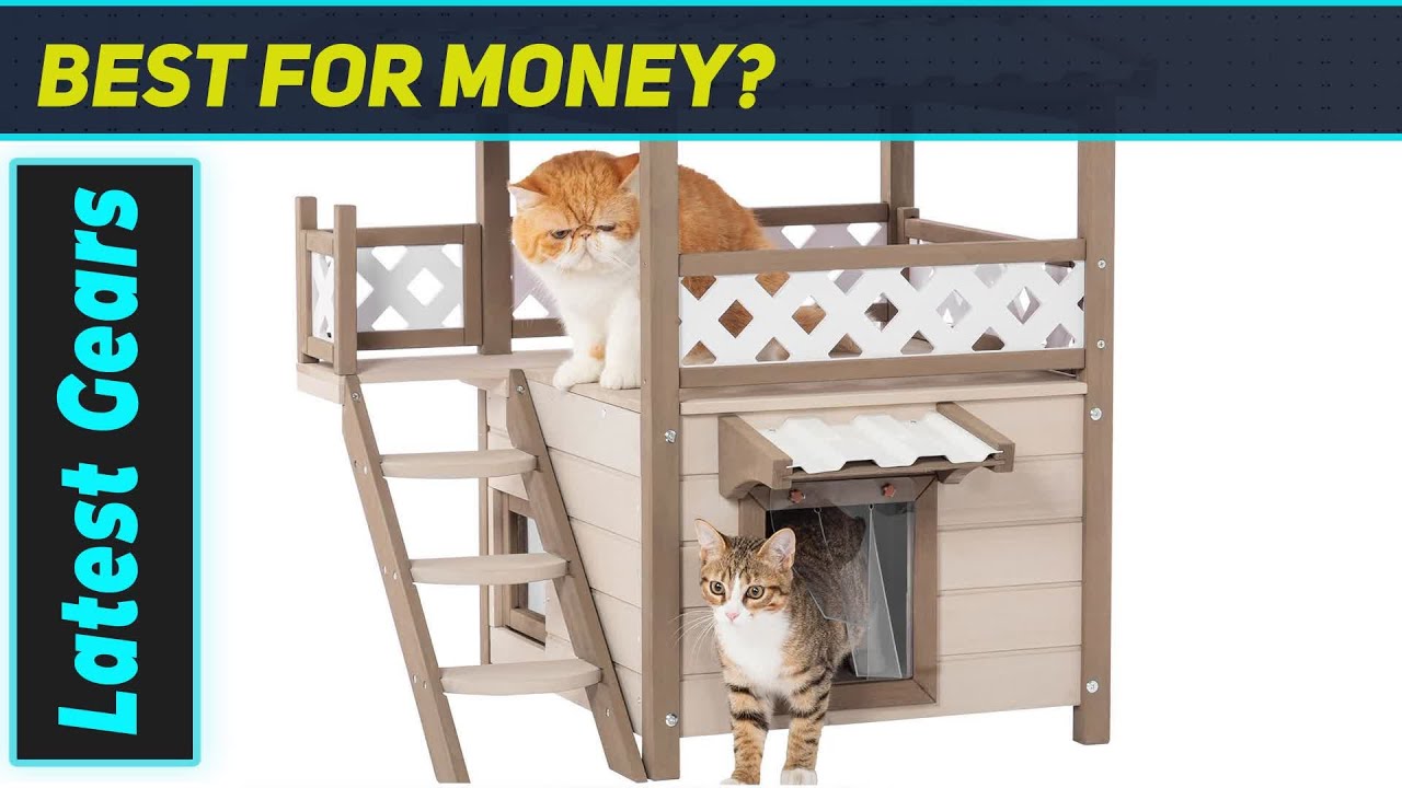 Best Outdoor Cat House? Petsfit 2-Story Catio! - YouTube