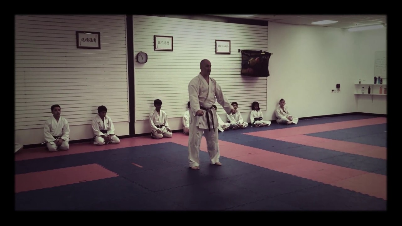 Enpi Shotokan Kata - Eric Rossini, Sensei - YouTube