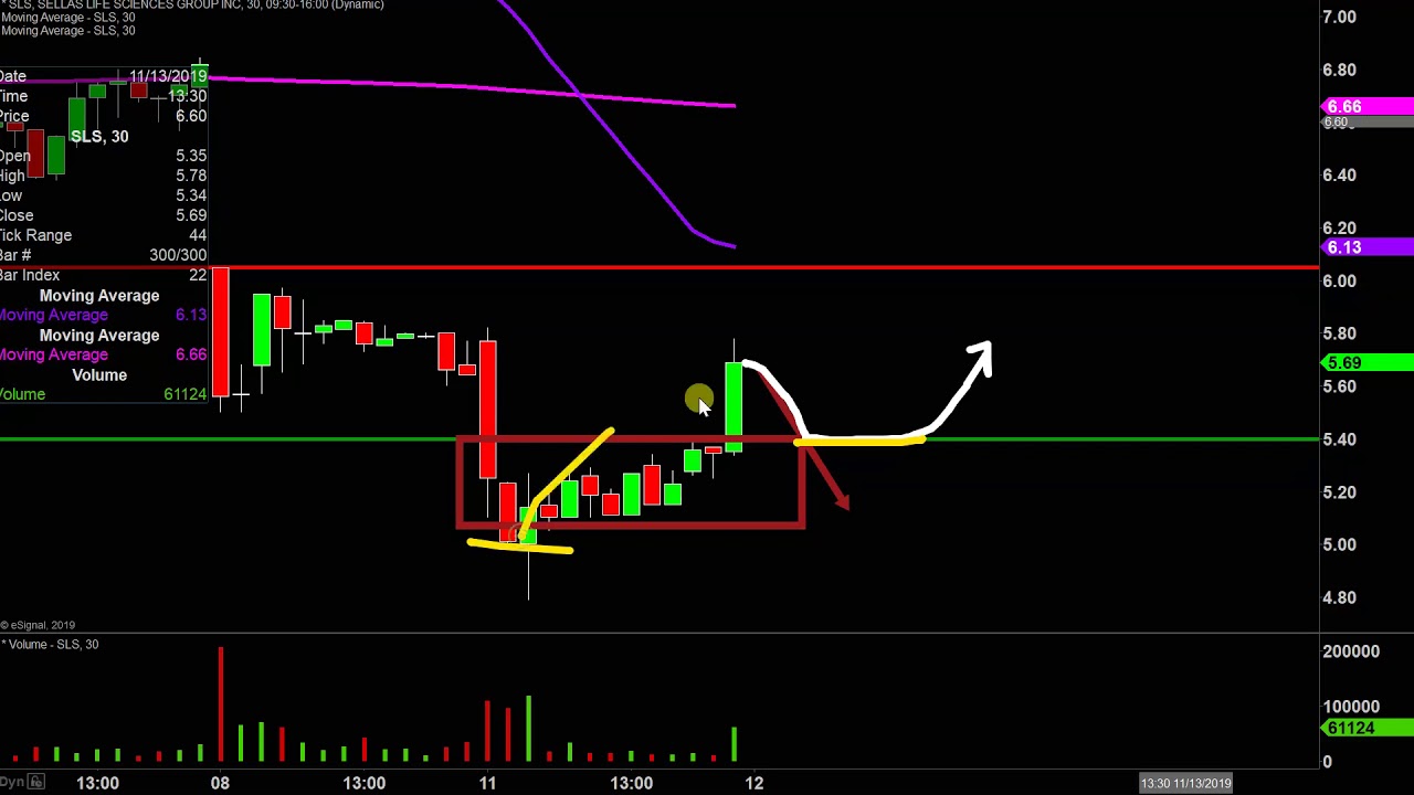 SELLAS Life Sciences Group, Inc - SLS Stock Chart Technical Analysis ...
