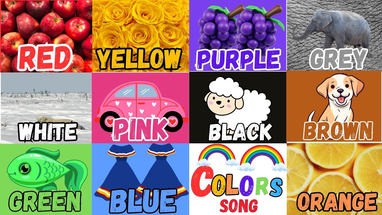Color Song For Kids | Learn Color Names | #ColorSong | #LearnColors ...