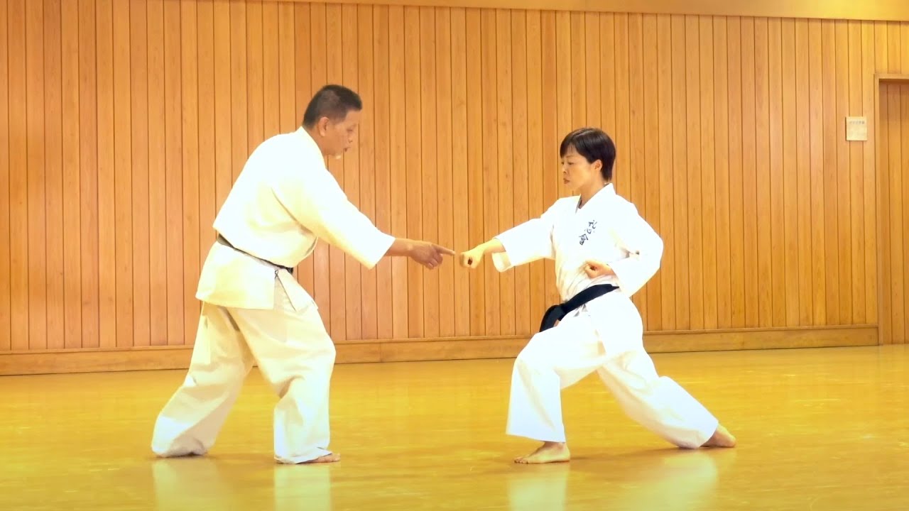 Kyokushin Karate #006 with moving “Punch /Uke/Shuto/Kick” Instruction ...