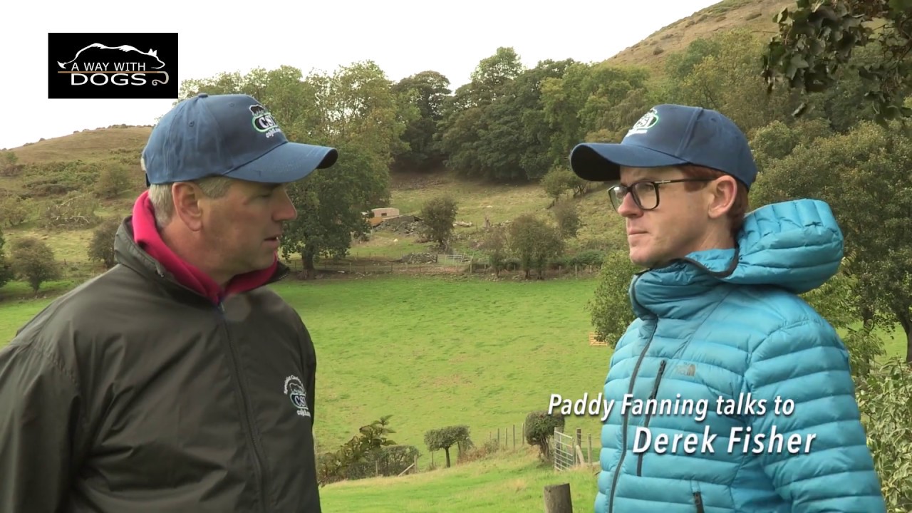 3 Sheepdog Trial, US Nat Res Champ Derek Fisher chats to Paddy Fanning ...