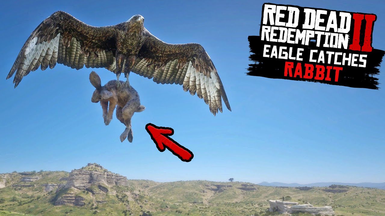 EAGLE Catches RABBIT (ULTRA RARE) in Red Dead Redemption 2 PC 4K - YouTube