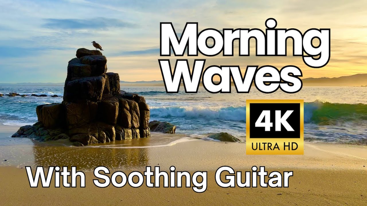 4K - MORNING WAVES at LOVERS POINT (+Young Seagull visit) ~ Soothing Guitar and Ocean Waves ...