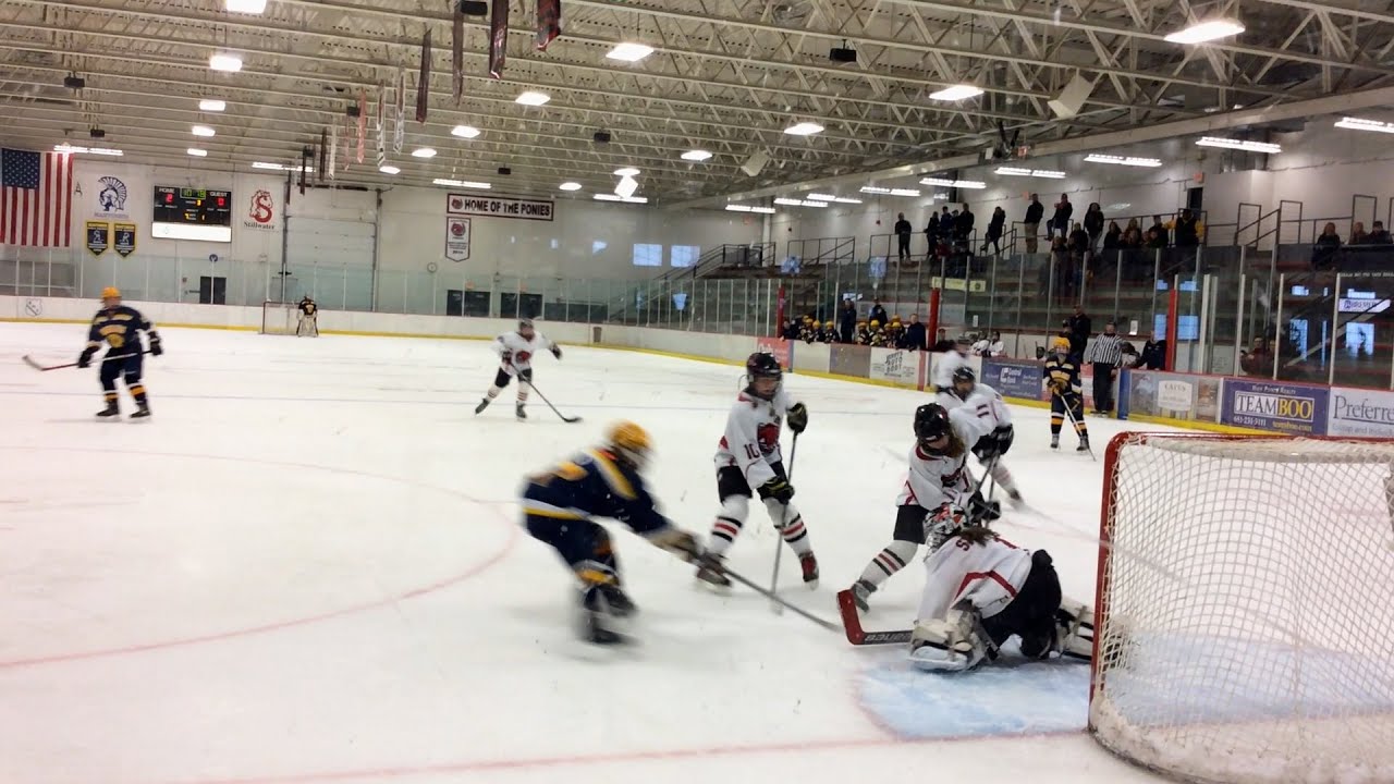 Wayzata Hockey Crashing The Net Game From February 7 2016 - YouTube