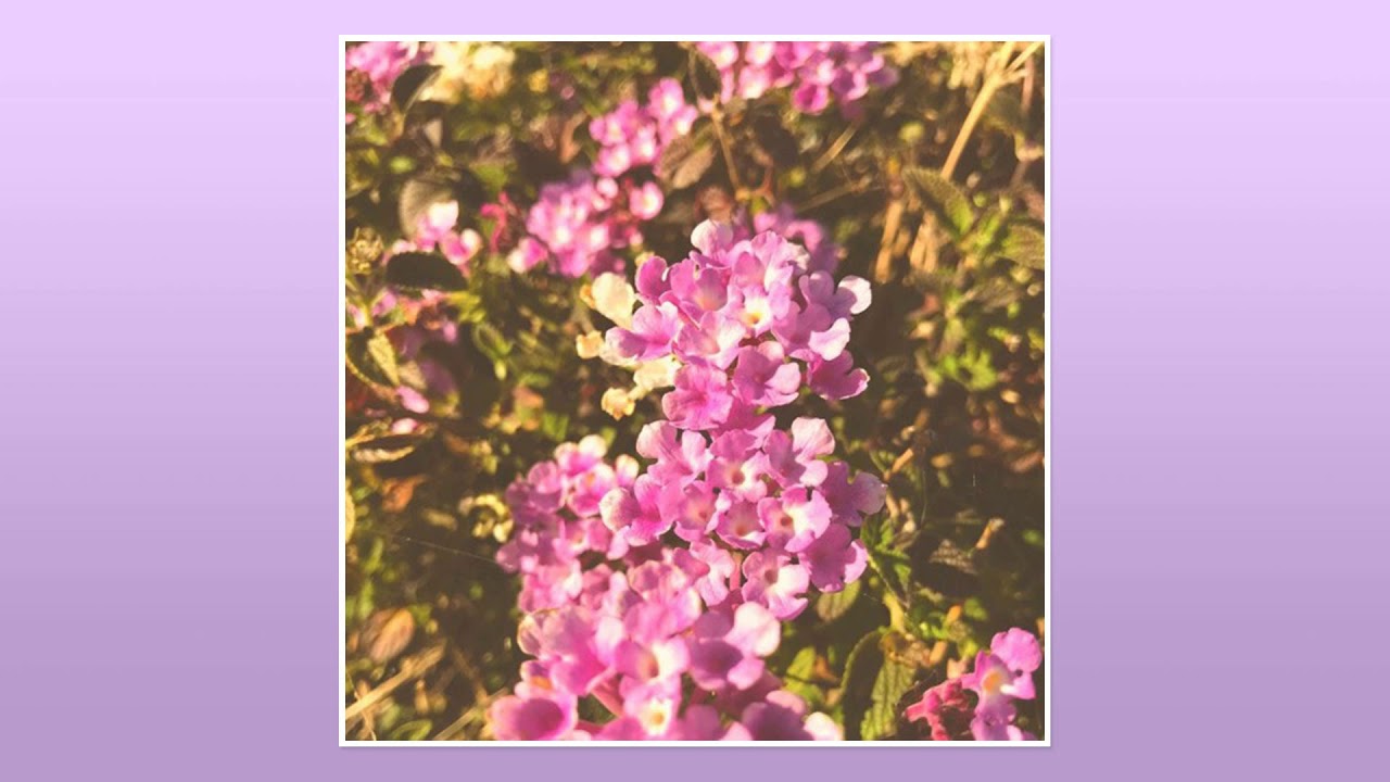 Banana Cream - Purple Array - YouTube