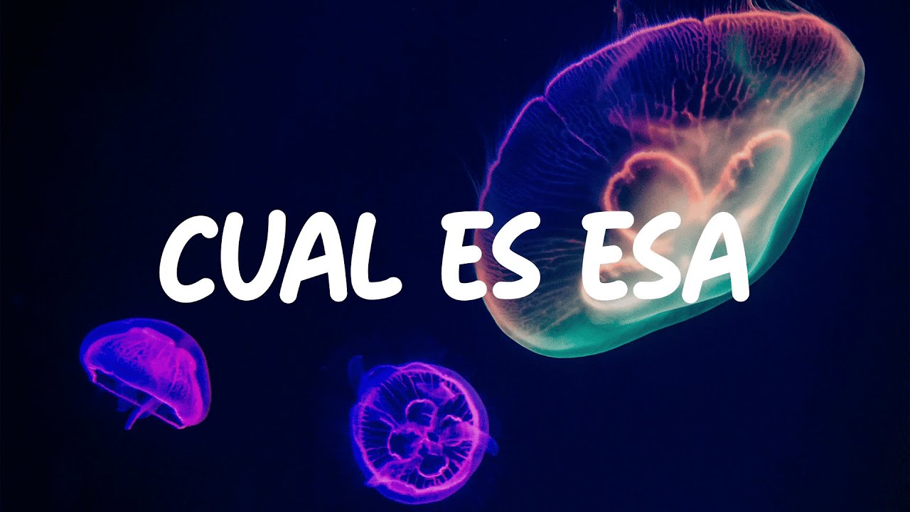 Feid, Pirlo - CUAL ES ESA (Letra/Lyrics) - YouTube