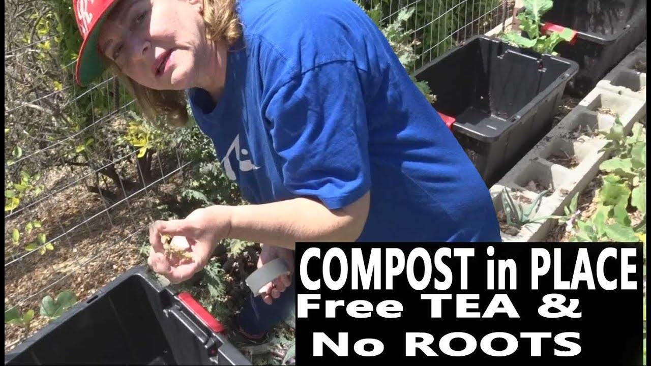 Free Plant Food-NO TURN COMPOST BINS PLANT NOW, Dump, Pile, Cover and ...
