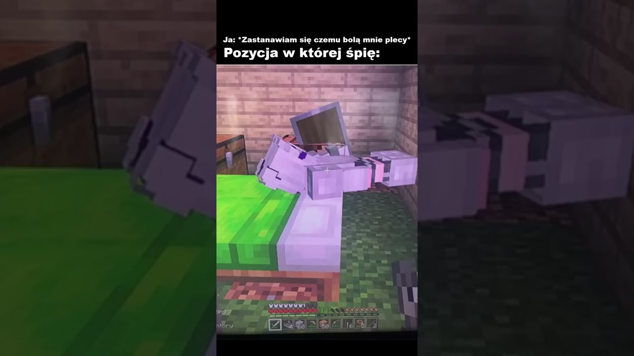 Czemu Bolą Mnie Plecy - MEMY z MINECRAFT 245 #shorts - YouTube