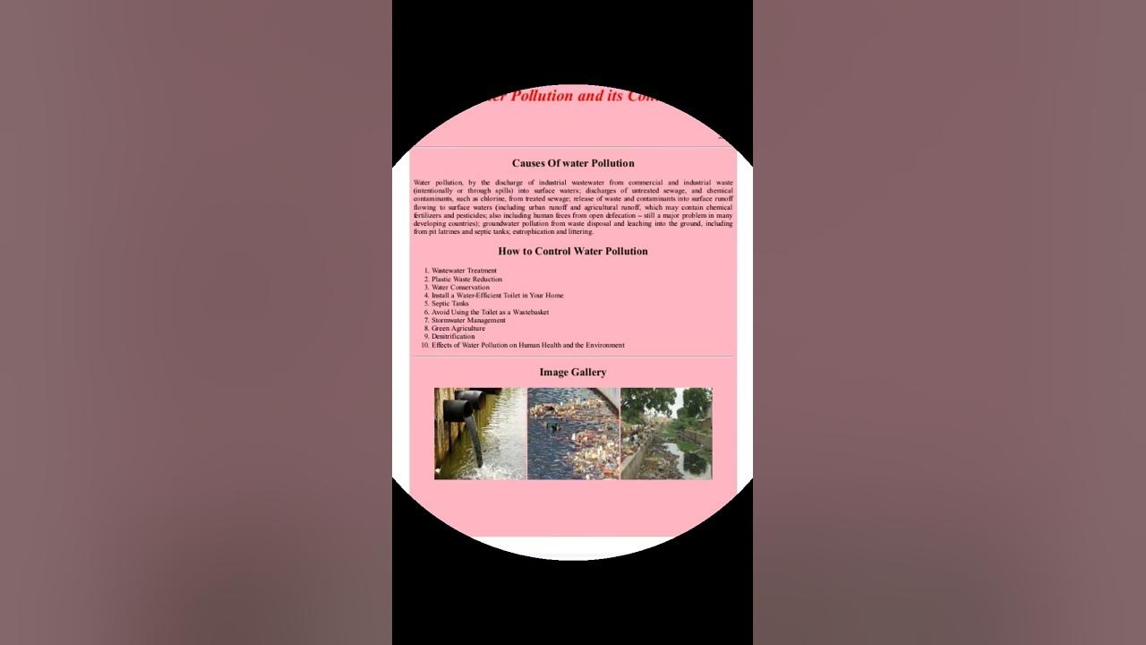 Class 10th Html Coding Project File Html Youtube