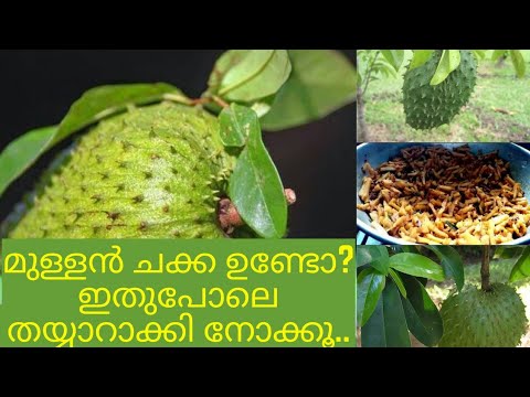 Mullan chakka Recipe|Mullan chakka upperi/mezhukkuvaratti|മുള്ളൻ ചക്ക ...