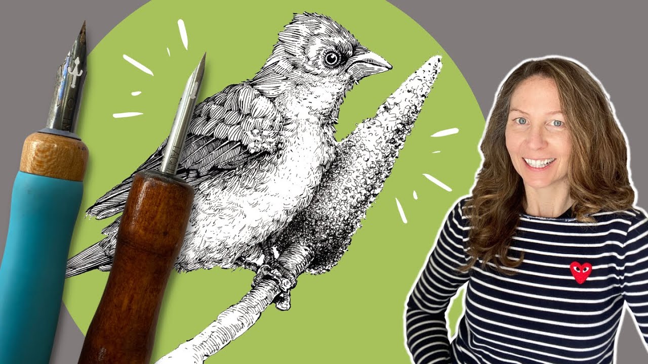 Step-by-step drawing of a bird with dip pen and ink - YouTube