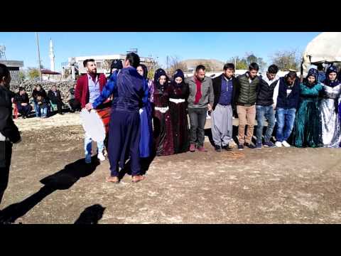 Sıverek karacadağ düğünü