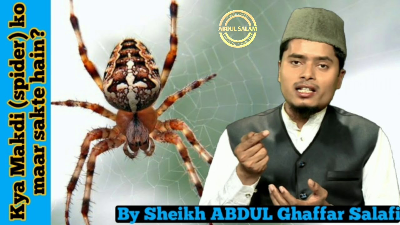Kya Makdi (spider) ko maar sakte hain? Answer By Sheikh ABDUL Ghaffar ...