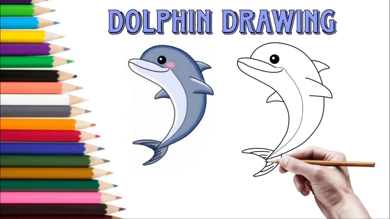 How to draw dolphin drawing step by step/ cute dolphin drawing - YouTube