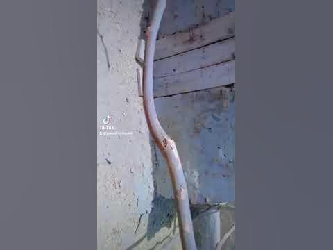 my Minny velog please support me - YouTube