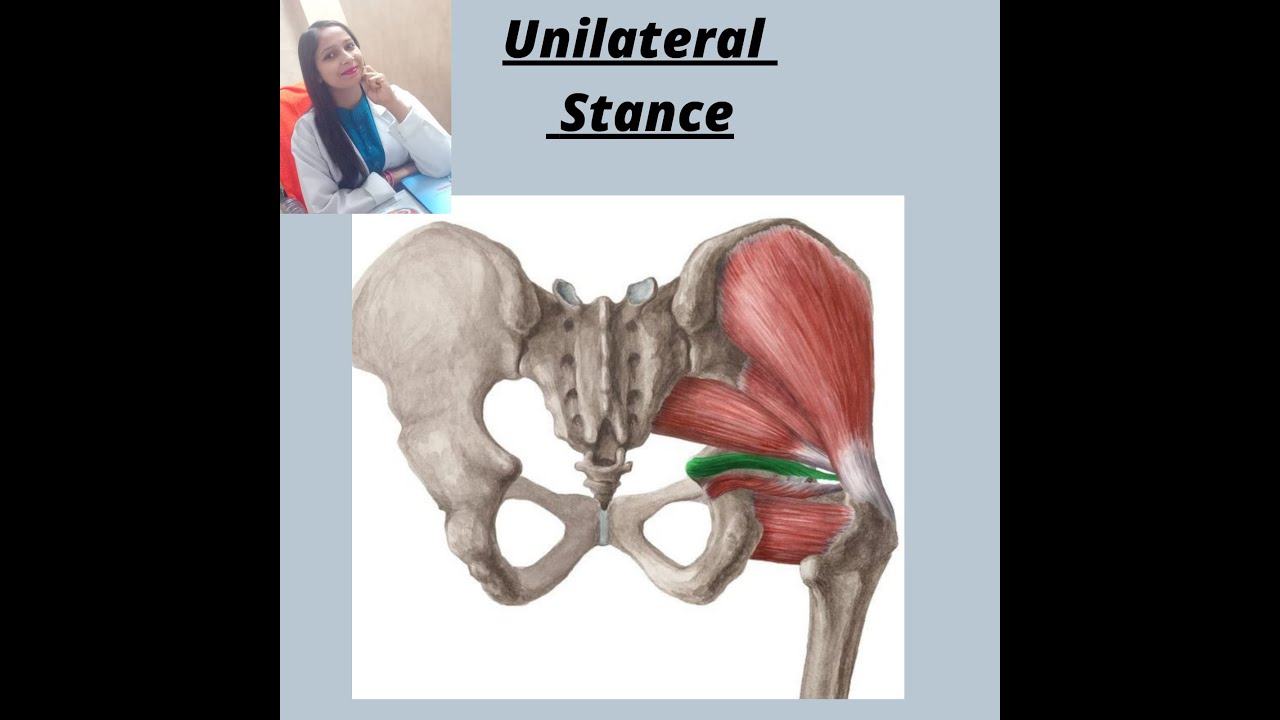 UNILATERAL STANCE - [ Forces and joint Compression ]# HIP BIOMECHANICS ...