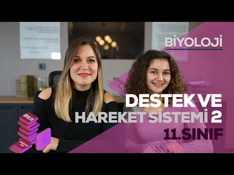 DESTEK VE HAREKET SİSTEMİ 2 - BİYOLOJİ DERSİ KONU ANLATIMI - LİMİTSİZ VIP