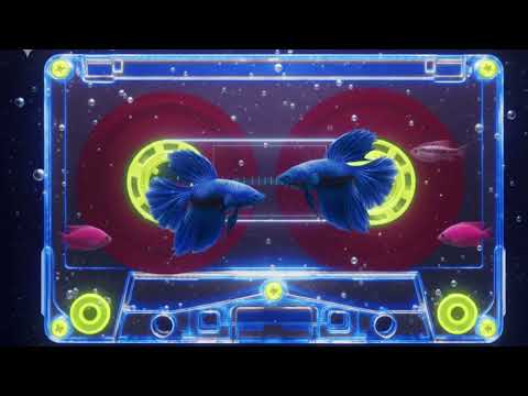 Yonca Evcimik - Şok (Bossa Nova Cover) | 90'lar Türkçe