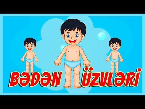 BƏDƏN ÜZVLƏRİ İLƏ TANIŞLIQ