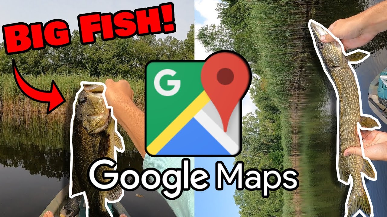 Fishing In TINY Google Maps Ponds for BIG Bass and Pike - YouTube