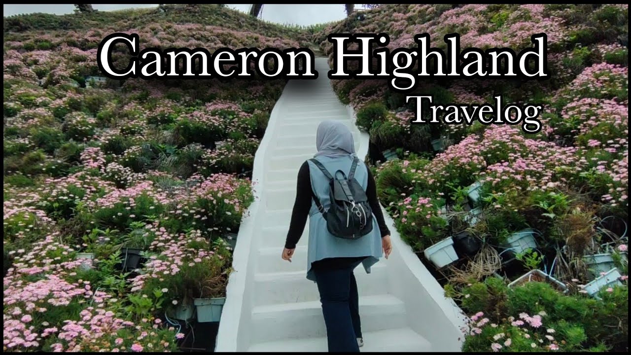 Travelog | Cameron Highland | 2 Hari 1 Malam | Flora Park - YouTube