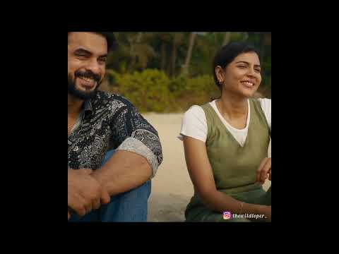THALLUMALA MOVIE LOVE BGM ️ | TOVINO THOMAS | KALYANI PRIYADARSHAN ...