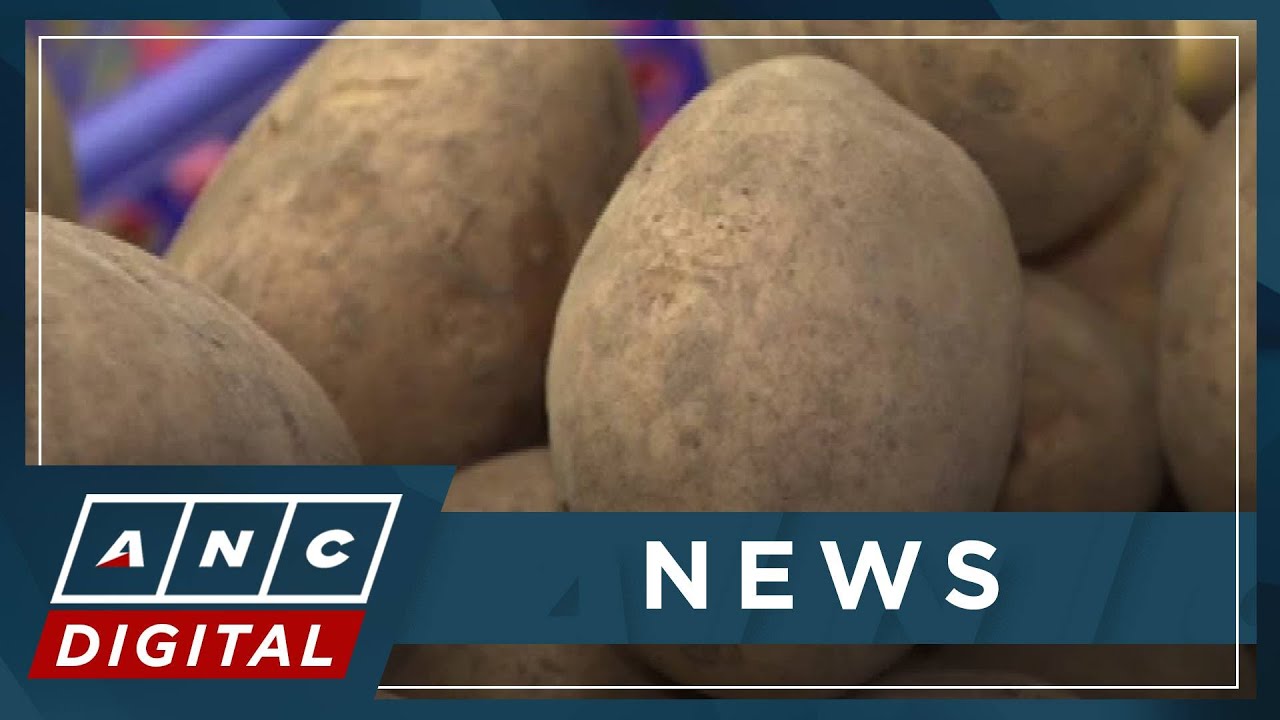 DA: Potato prices slightly up due to recent typhoons, seen to stabilize ...