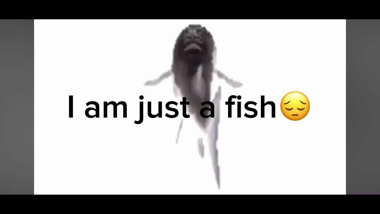 I am just a fish☹️ - YouTube