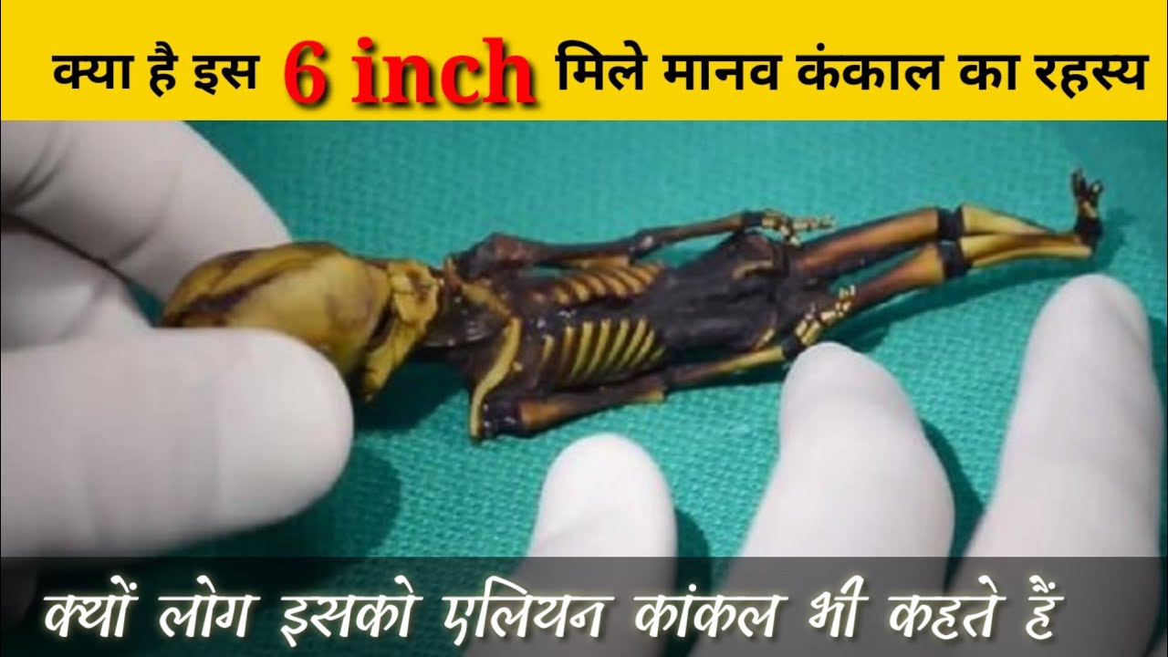 रेगिस्तान में मिला 6 इंच का मानव कंकालI mysterious six inches skeleton ...