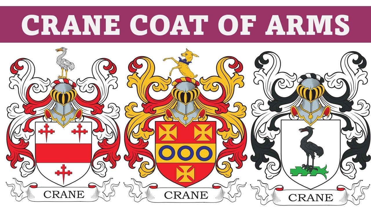 Crane Coat of Arms & Family Crest - Symbols, Bearers, History - YouTube
