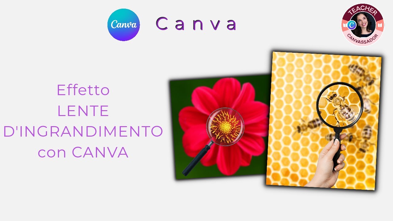 Come realizzare l'EFFETTO LENTE D'INGRANDIMENTO con Canva - YouTube