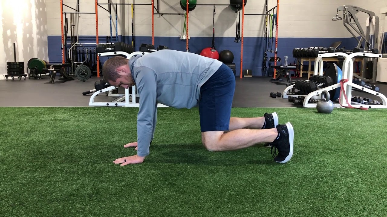 Bear Position Hold - YouTube