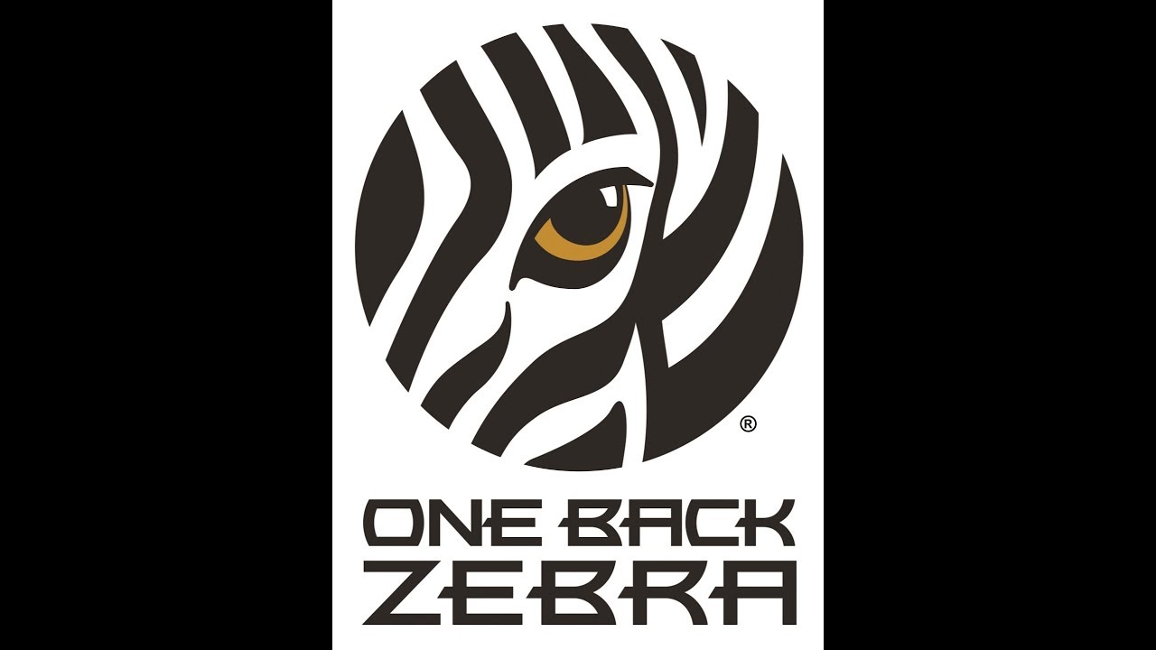 One Back Zebra intro video - YouTube