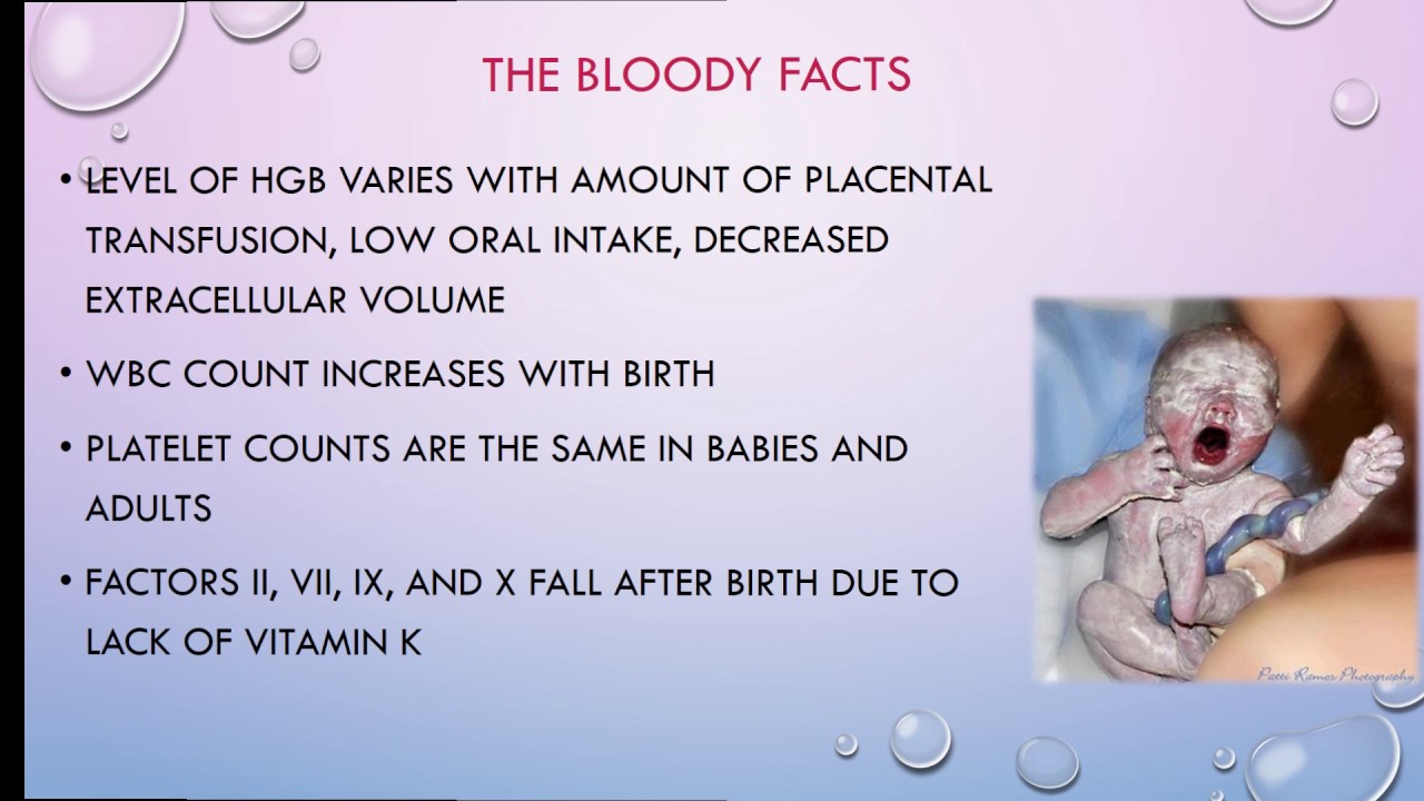 Hybrid Newborn Part 2 - YouTube