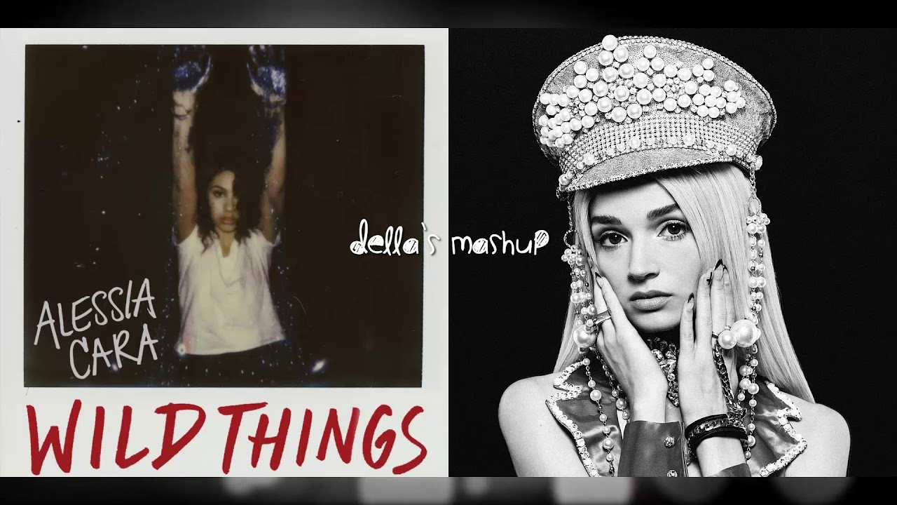 Wild Feelings - Alessia Cara & Poppy (Mashup!) - YouTube Music