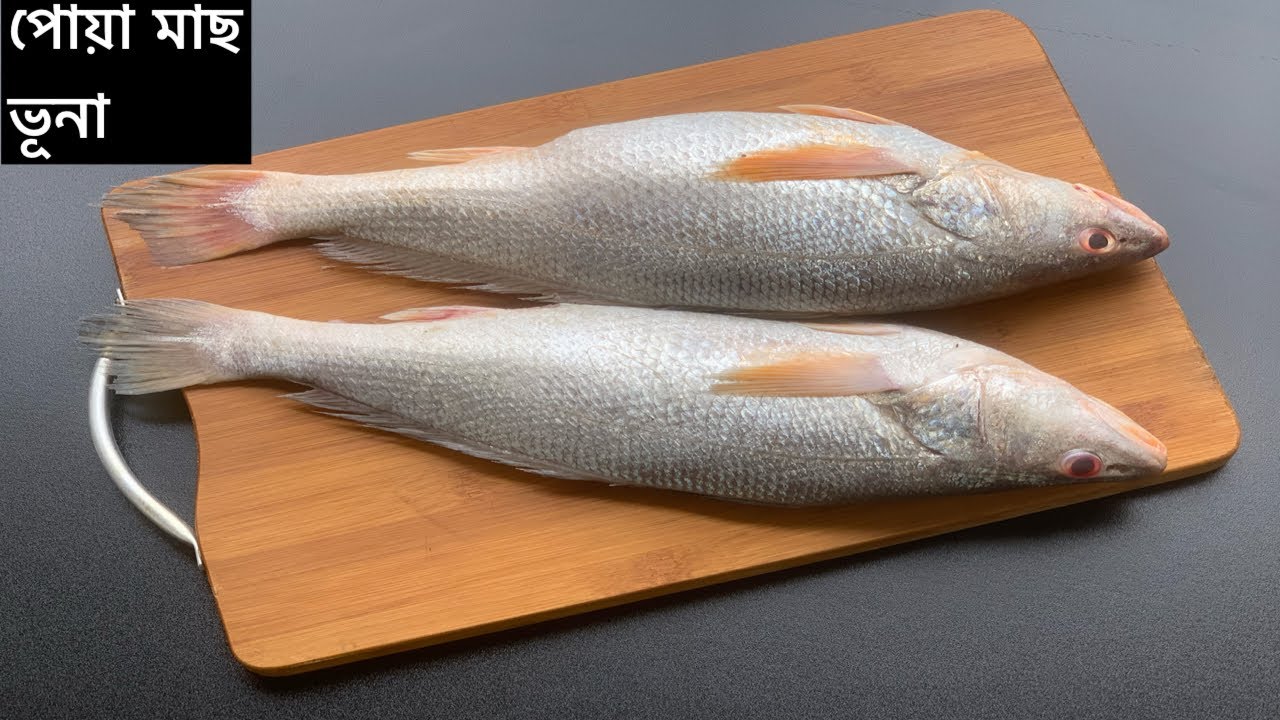 পোয়া মাছের ভূনা | Poa Fish Recipe | Poa Mach | স্পেশাল রেসিপি/Recipe ...