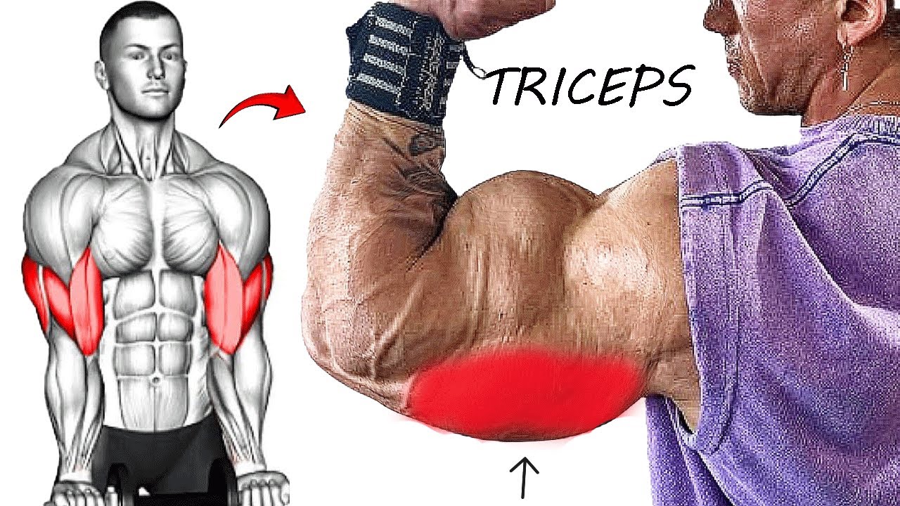 “Insane Triceps Workout for Massive Arms!”🔥 - YouTube