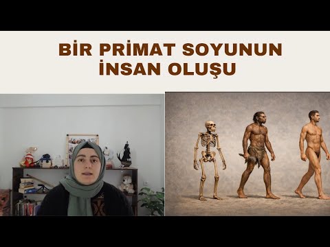 Bölüm 1 Tarih Öncesi Çağ Biyolojik Evrim