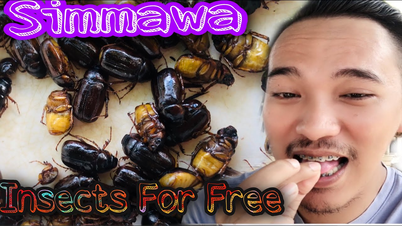 Simmawa | Exotic food - YouTube