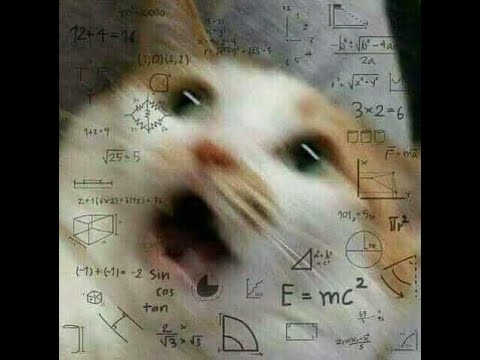 Funny Moments of Animals - Komik Hayvan Videoları