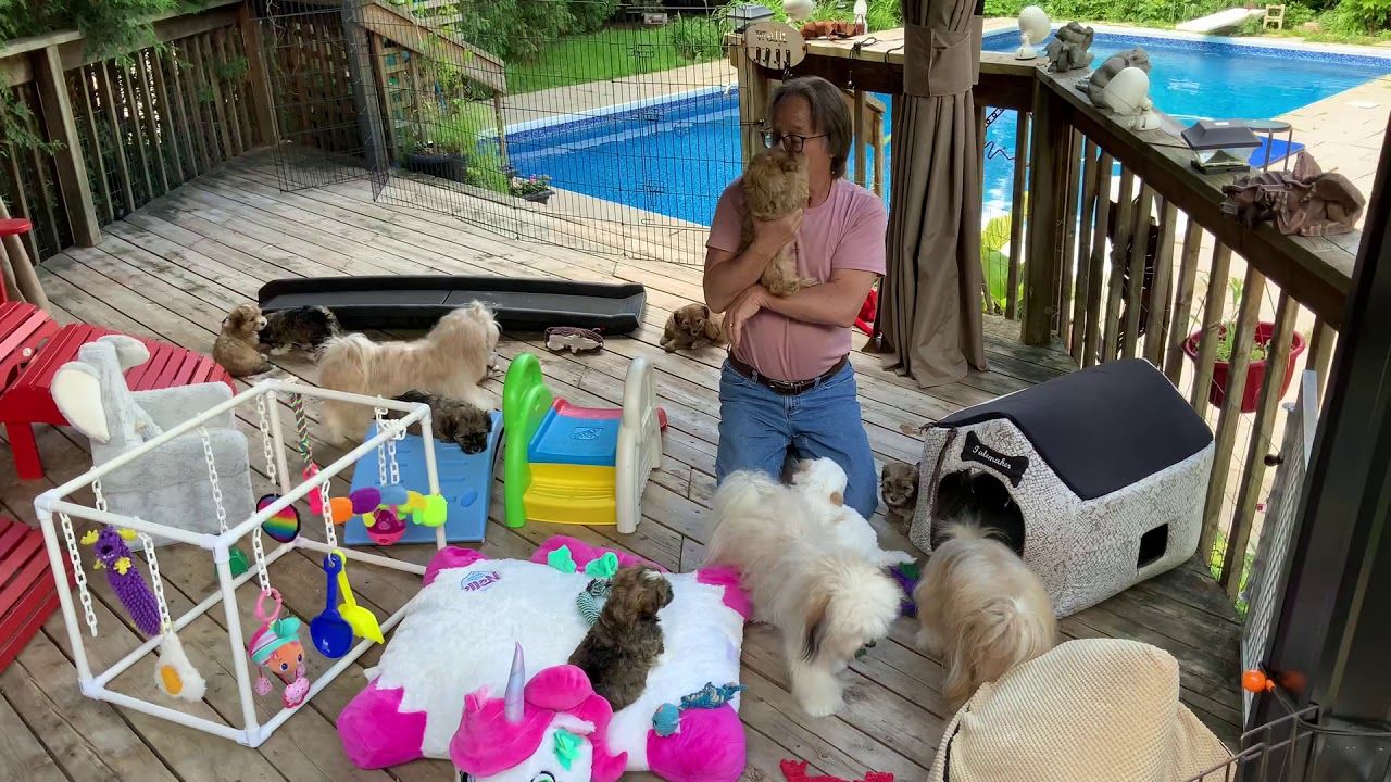 Going Back Inside - YouTube